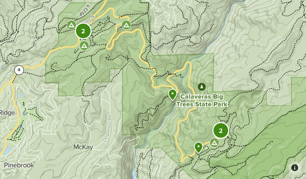 Calaveras big trees | List | AllTrails