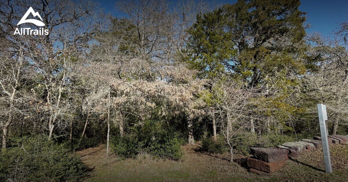 Buescher State Park | List | AllTrails