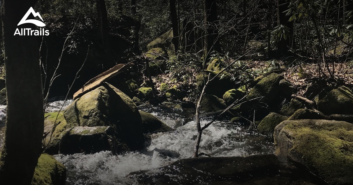 Devils Fork trails 11/2021 | List | AllTrails