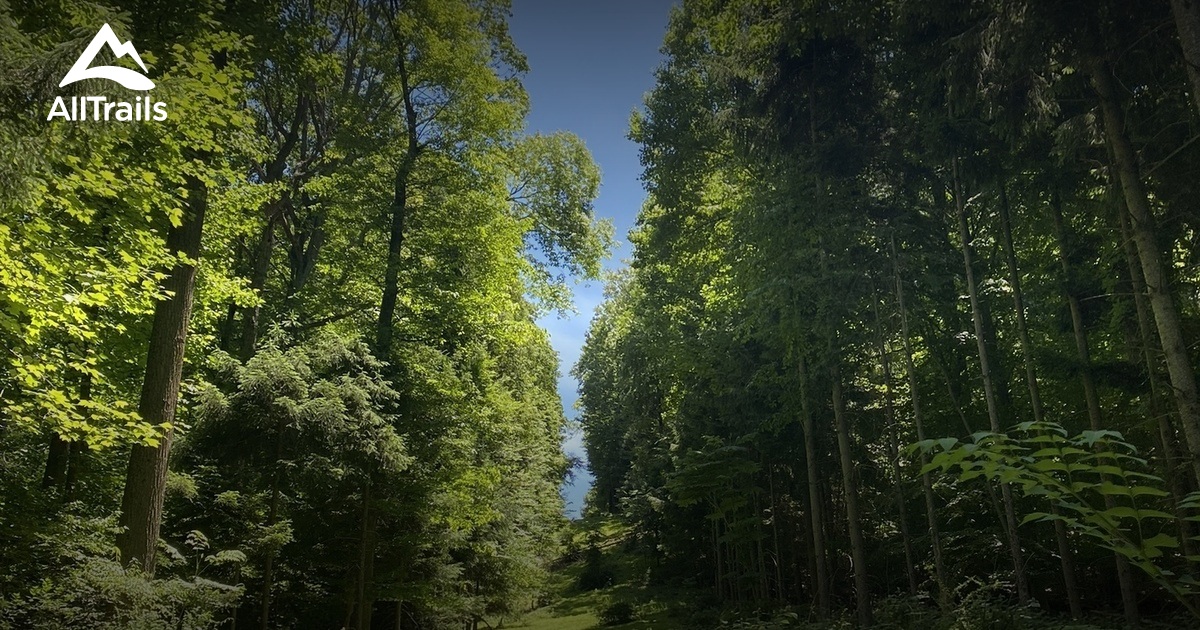 laney | List | AllTrails