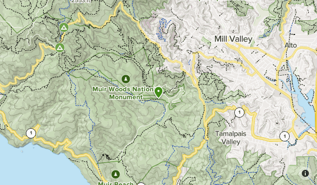 Muir Woods | List | AllTrails