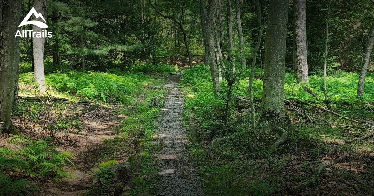 Caledonia State Park Hiking | List | AllTrails