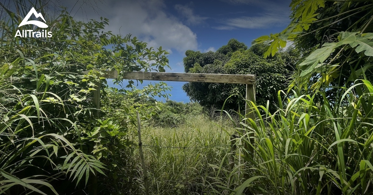 BVI | List | AllTrails