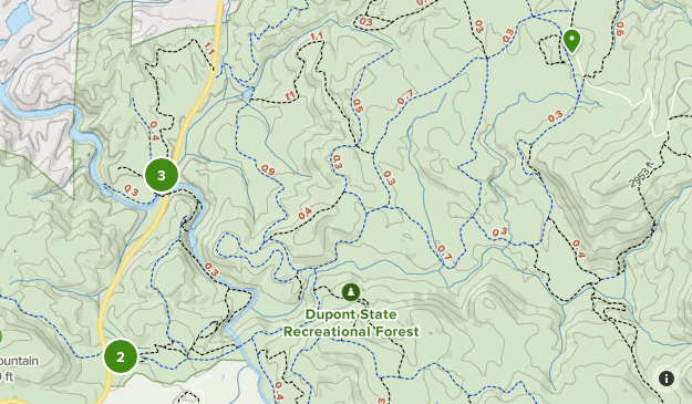Dupont State Park, NC | List | AllTrails