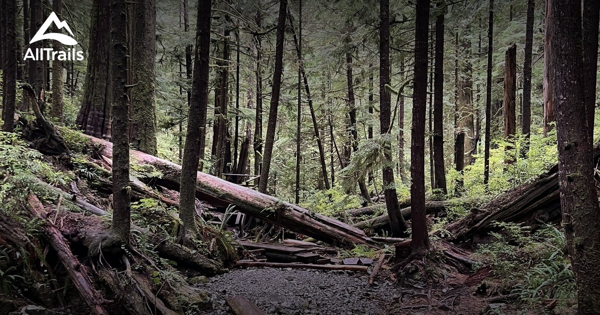 2023 Hikes | List | AllTrails