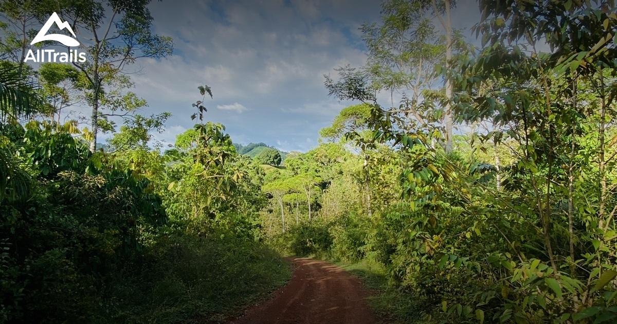 Costa Rica Hikes | List | AllTrails