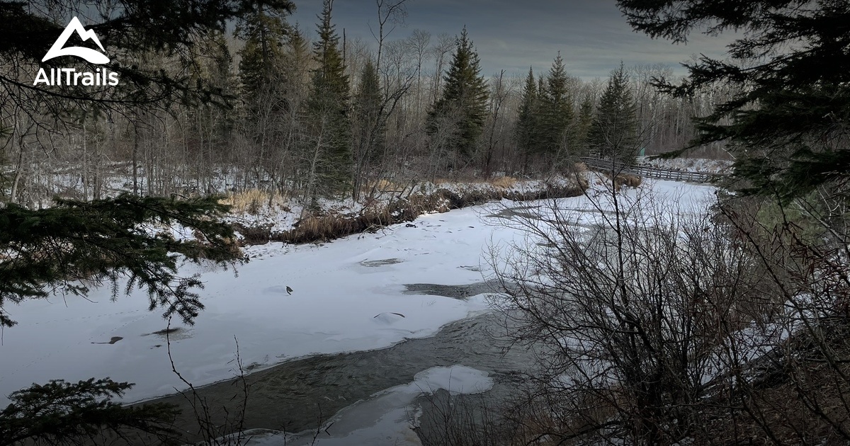 Sandilands Provincial Forest | List | AllTrails