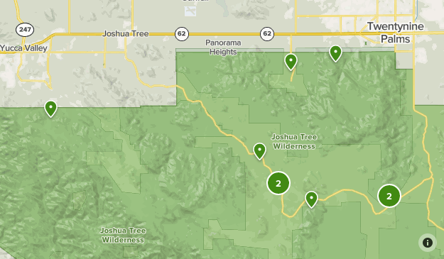 Joshua tree | List | AllTrails