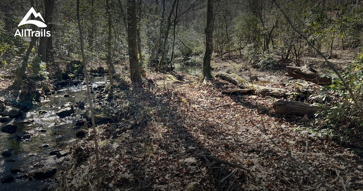 Uwharrie trail | List | AllTrails