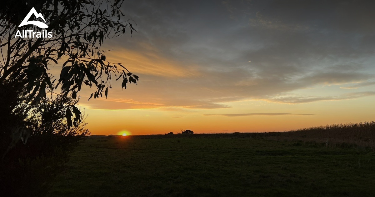 Cape Liptrap Coastal Park + Surrounds | List | AllTrails