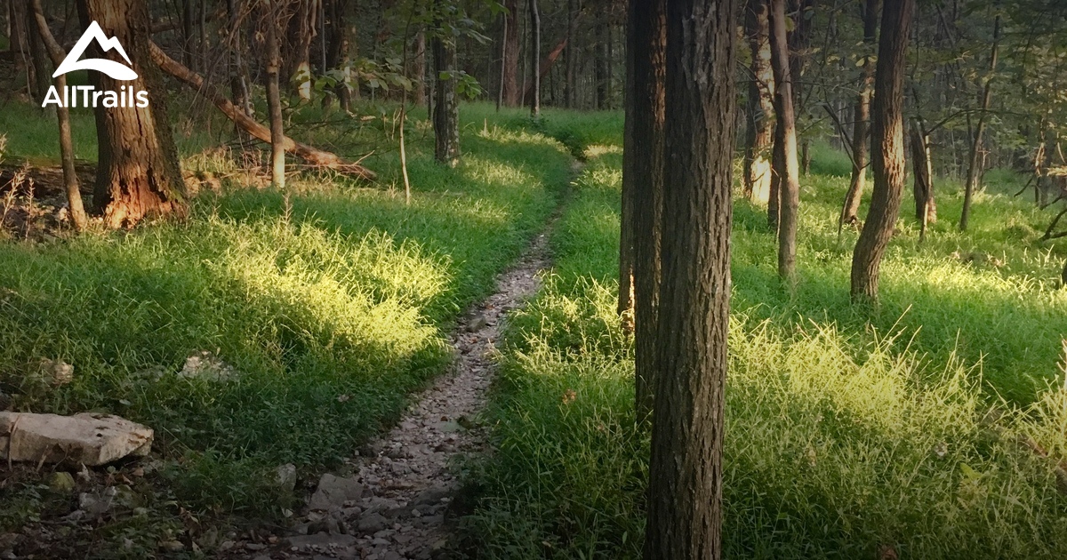 Appalachian trail Virginia | List | AllTrails