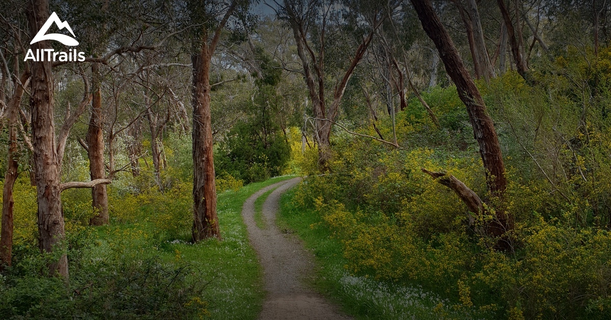 SA - 4-8km | List | AllTrails