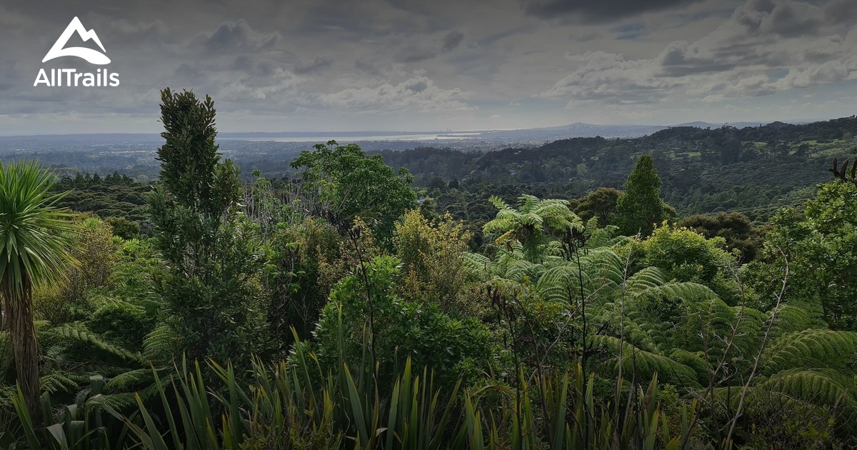 Waitakere Ranges | List | AllTrails