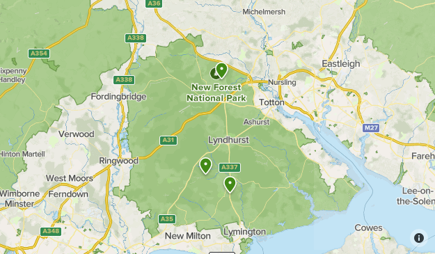 New Forest | List | AllTrails