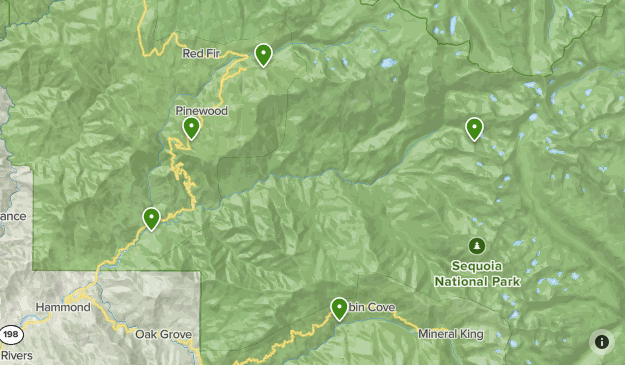 Sequoia National Park | List | AllTrails