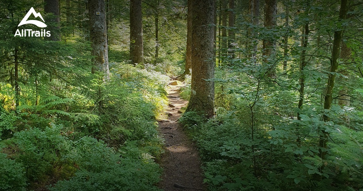 Kinzigtal-Radweg | List | AllTrails