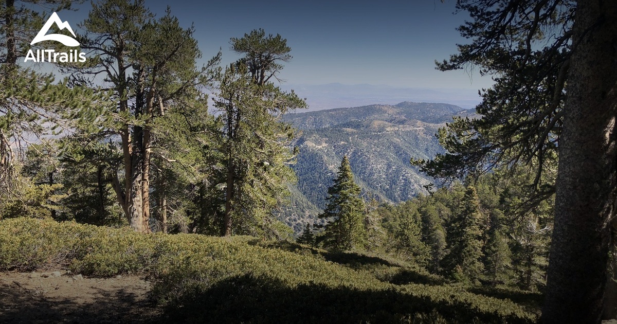 angles national forest | List | AllTrails