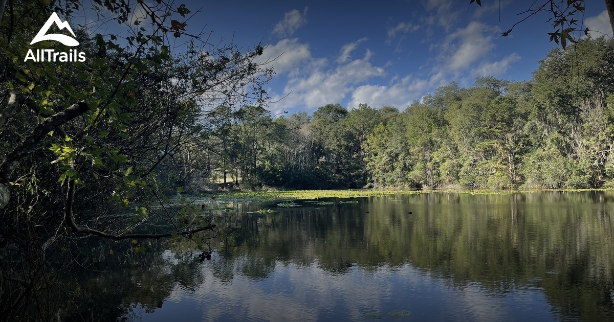 Birding Trails | List | AllTrails