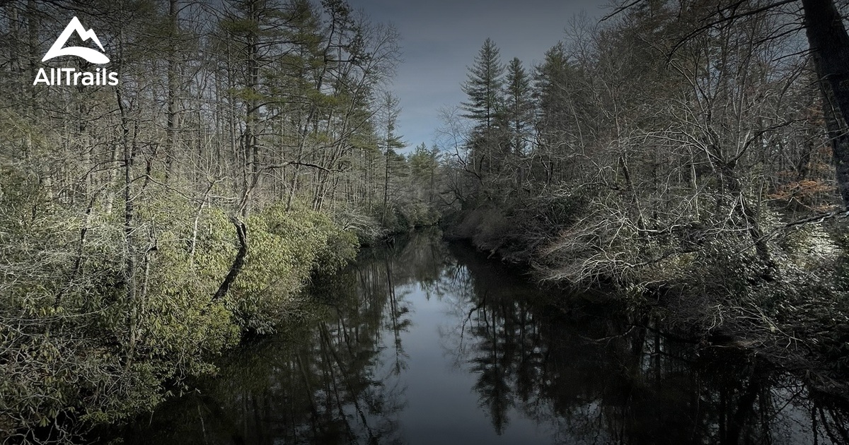 Dupont State Recreational Forest | List | AllTrails