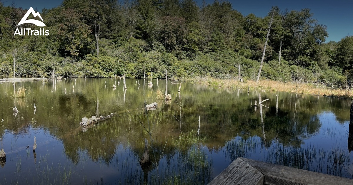 Lake conasauga | List | AllTrails