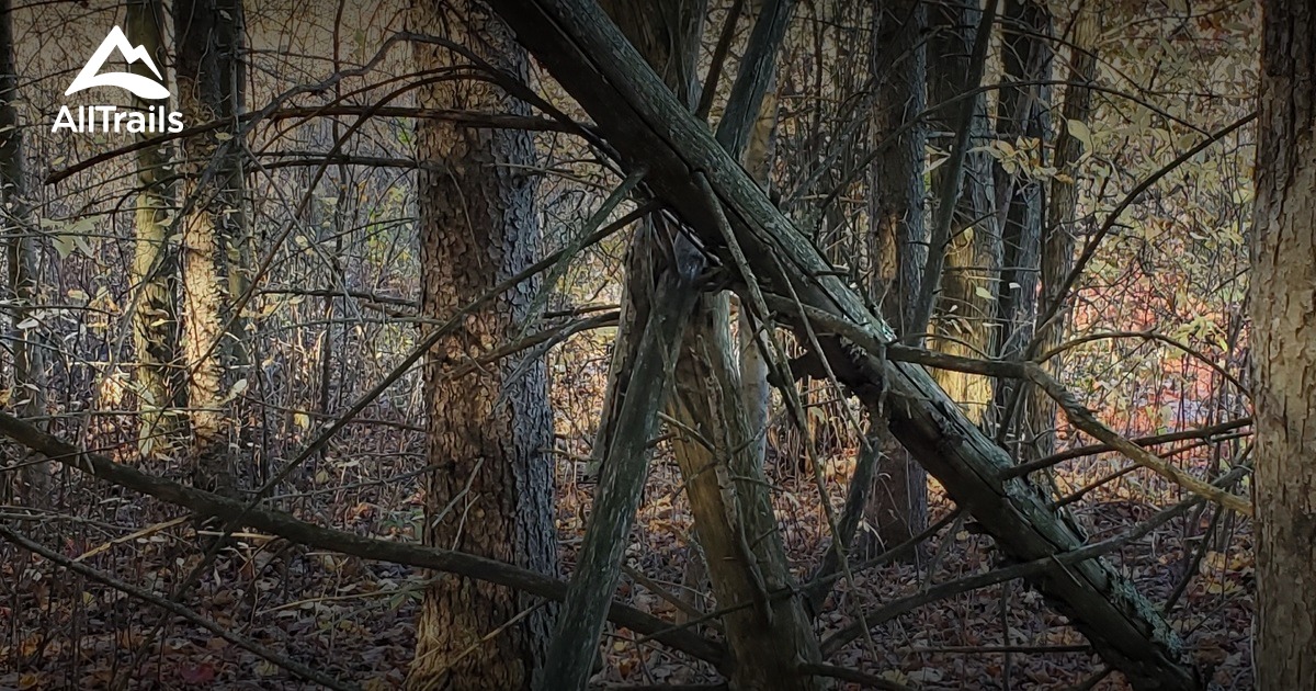 Lake Hammonasset Hikes | List | AllTrails