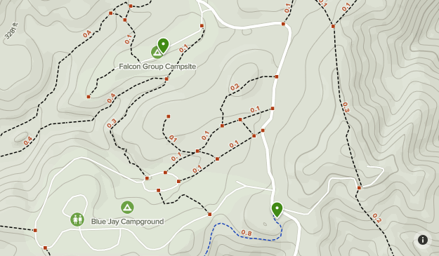 Blue Jay Campground | List | AllTrails
