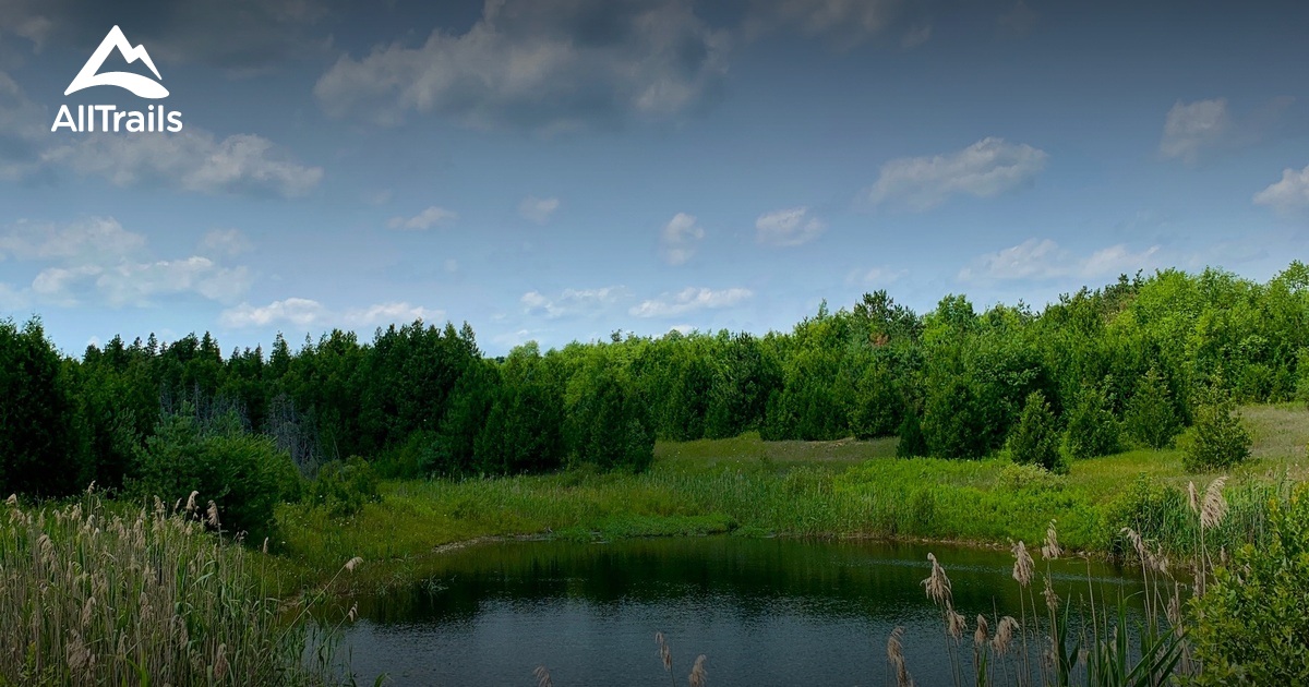 Trail of the Month ideas | List | AllTrails