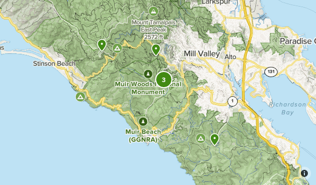Muir Woods | List | AllTrails
