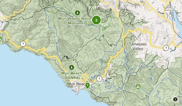 Muir Woods | List | AllTrails