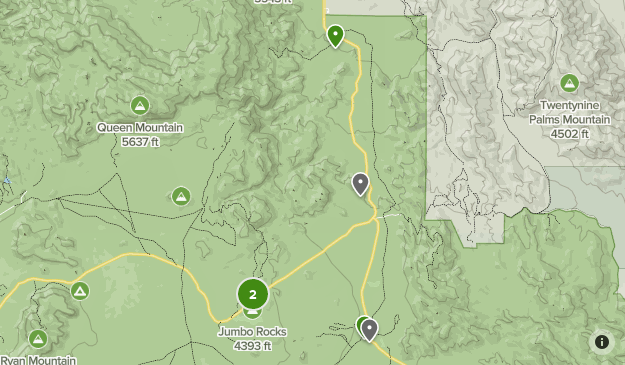 Joshua Tree | List | AllTrails