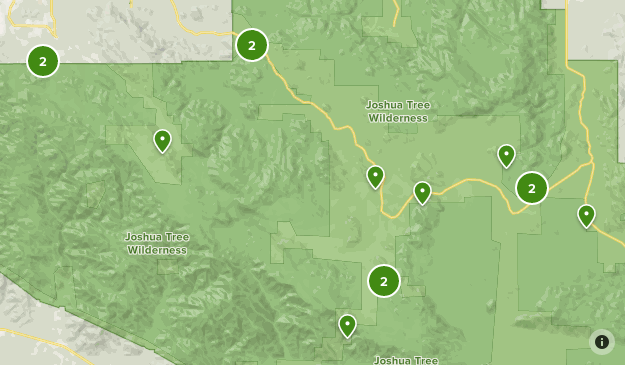 Joshua Tree | List | AllTrails