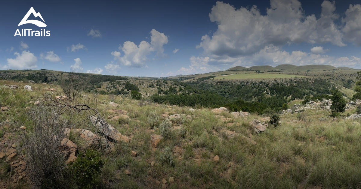 Crystal Springs Hiking Trails | List | AllTrails