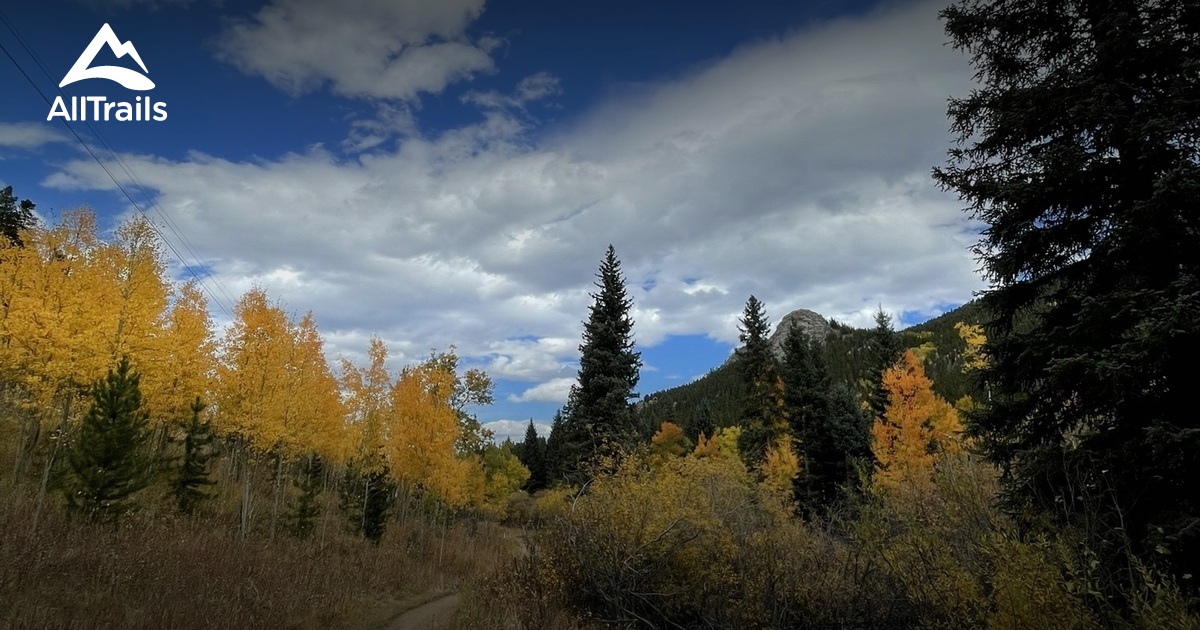 Golden gate State park | List | AllTrails