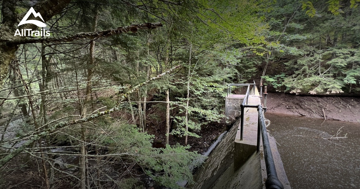 Hikes around Wolfville | List | AllTrails