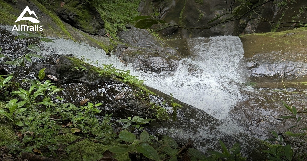 COSTA RICA: Puerto Viejo | List | AllTrails