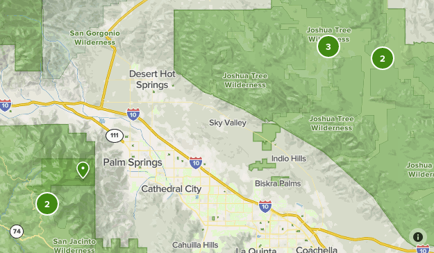 Joshua tree | List | AllTrails