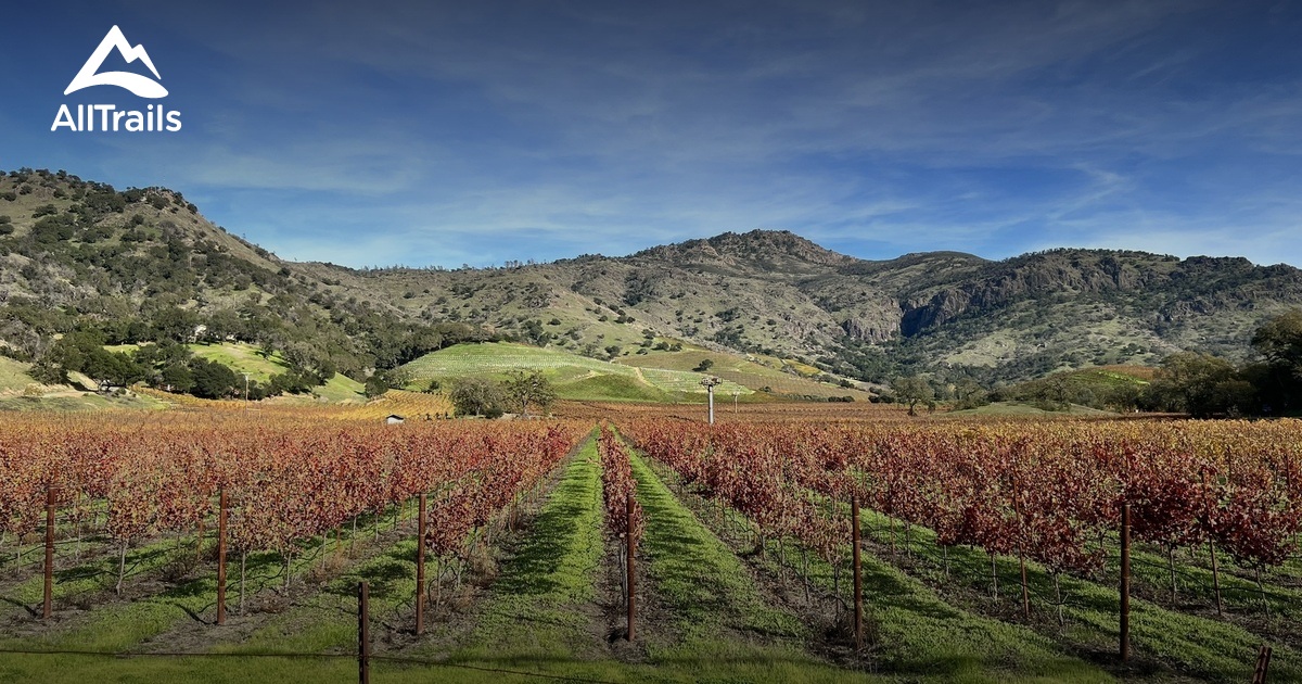 Bay Area Bike Trails | List | AllTrails