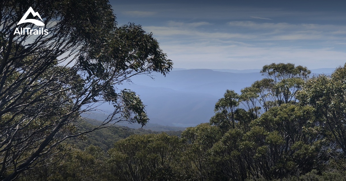 Baw Baw | List | AllTrails