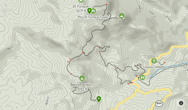 El Yunque | List | AllTrails