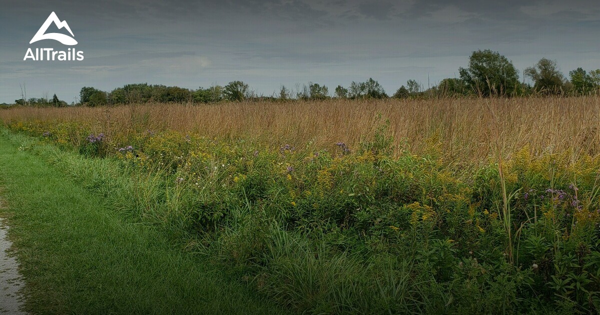 Hillman Marsh CA | List | AllTrails