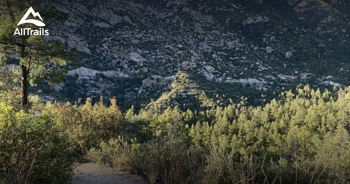 Mount Lemmon | List | AllTrails