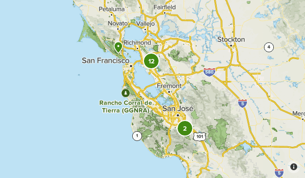 Redwoods Hike | List | AllTrails