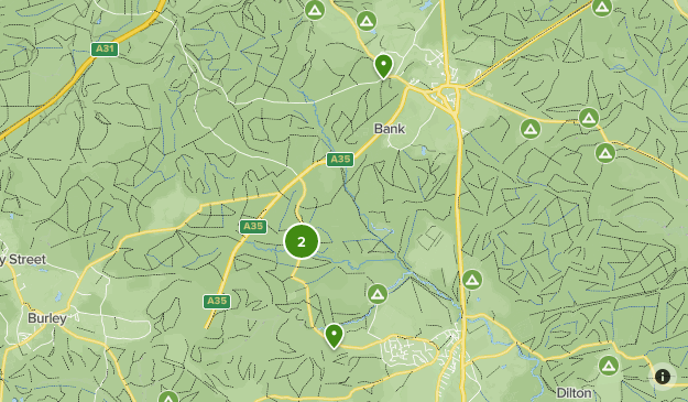 new forest | List | AllTrails