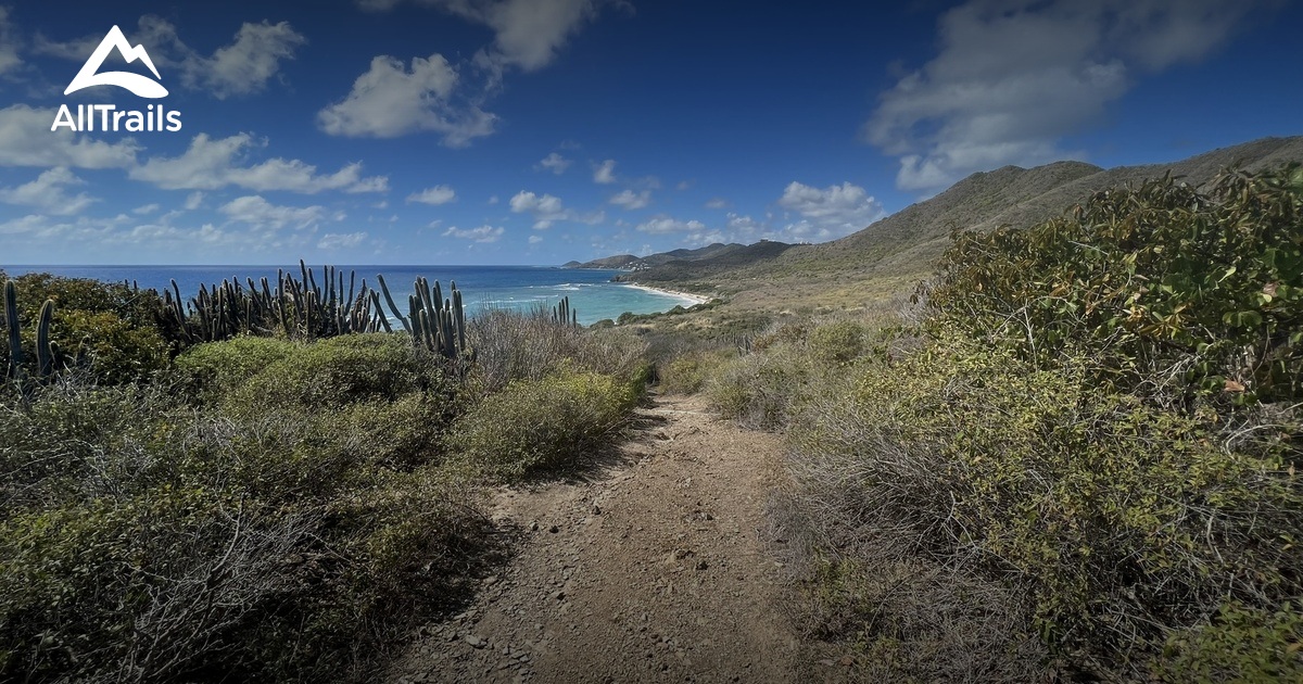 STX VI | List | AllTrails