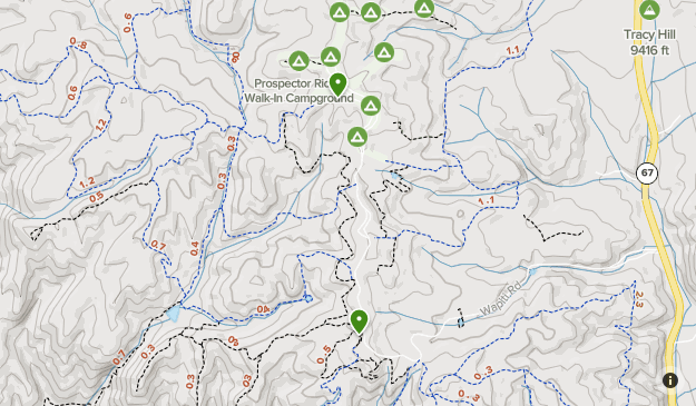 Mueller State Park | List | AllTrails