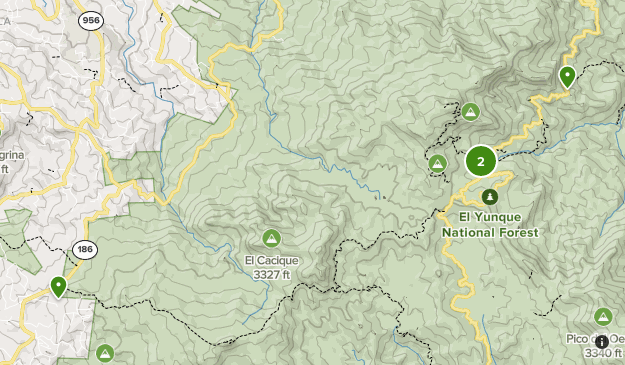 El Yunque | List | AllTrails