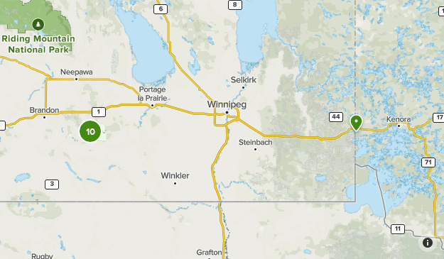 Spruce Woods Provincial Park Trails | List | AllTrails