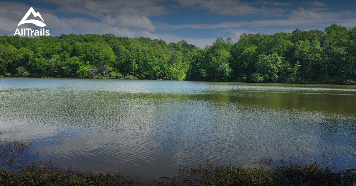 Chewacla- multiple trails | List | AllTrails