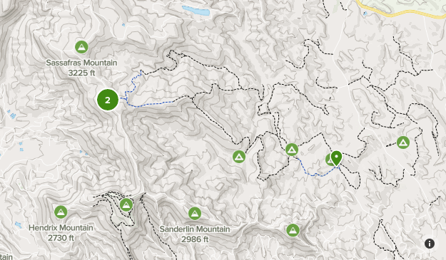 Wildcat tract of Dawson Forest WMA | List | AllTrails