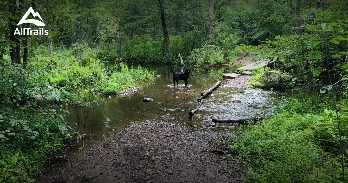 Meshomasic State Forest | List | AllTrails